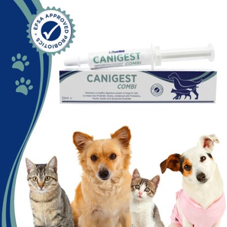 Canigest Combi probiótico para perros y gatos | Europet